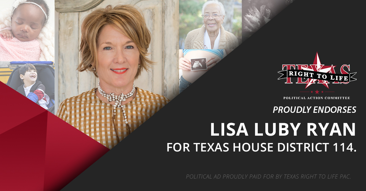 Lisa Luby Ryan: the Pro-Life Candidate for House District 114 | Texas ...
